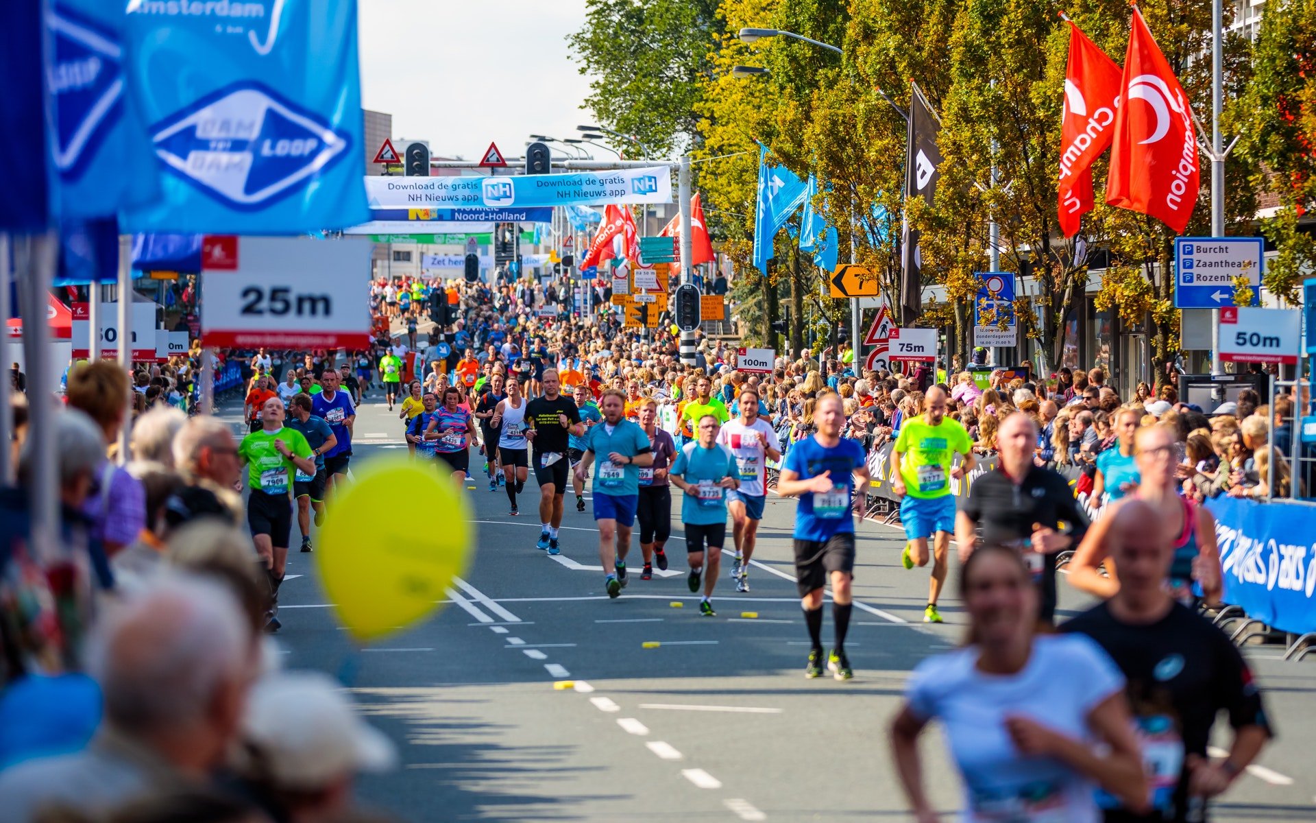 Dam tot Damloop, een waar hardloopfeest! - Run Now